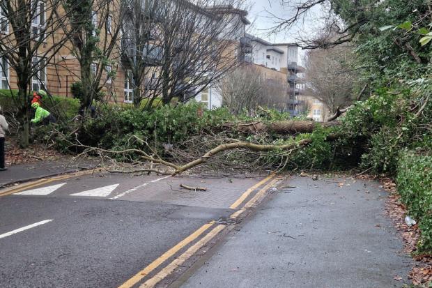 Road reopens after large fallen tree trapped cars in estate