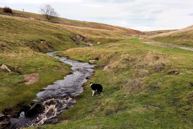 Try this wild winter walk across Stump Cross Caverns