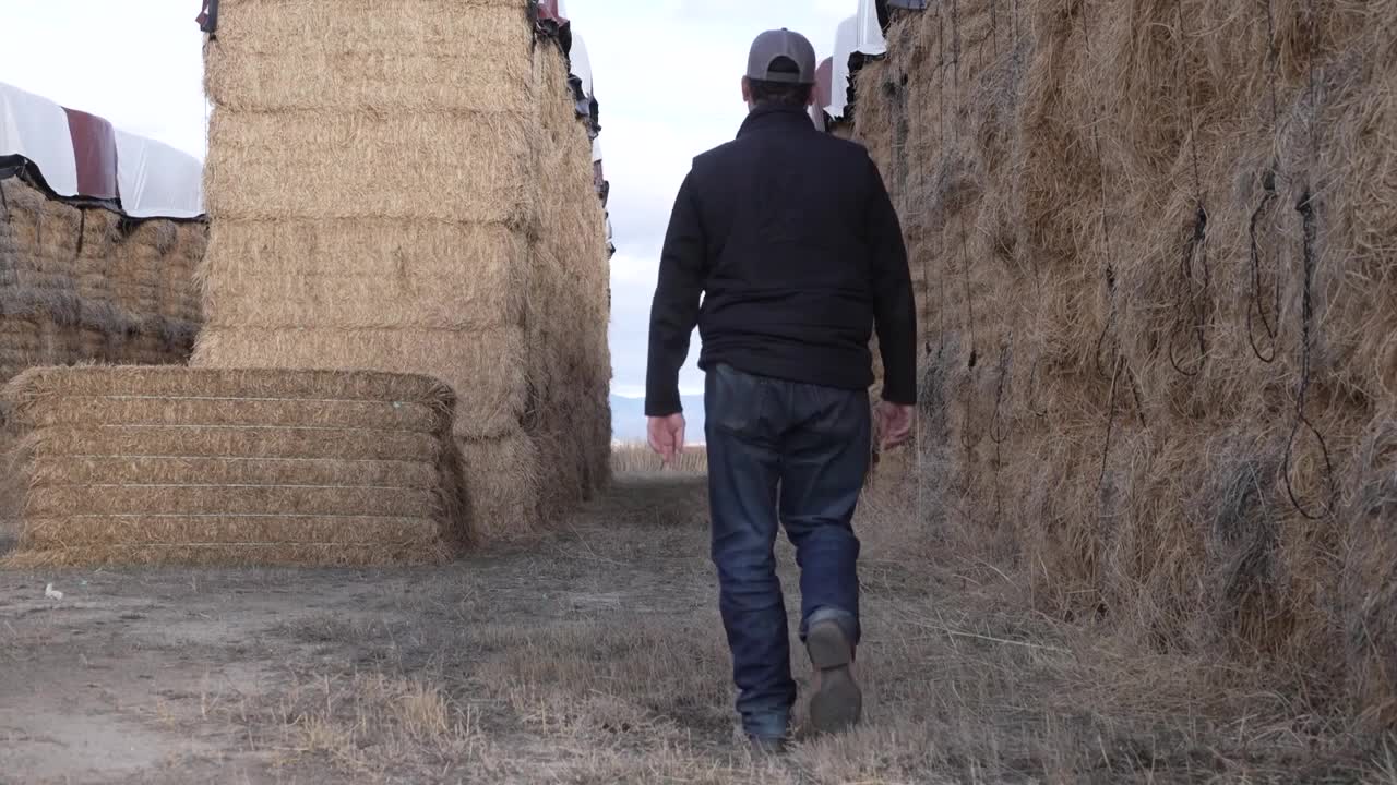 Montana AG: Townsend rancher nominated top MSGA member