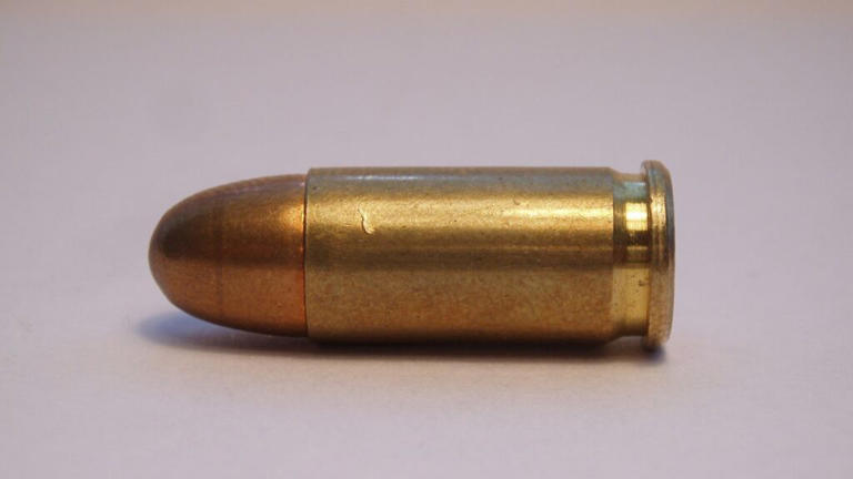 Once common and trusted, the .32 ACP is fading fast but still holds a ...