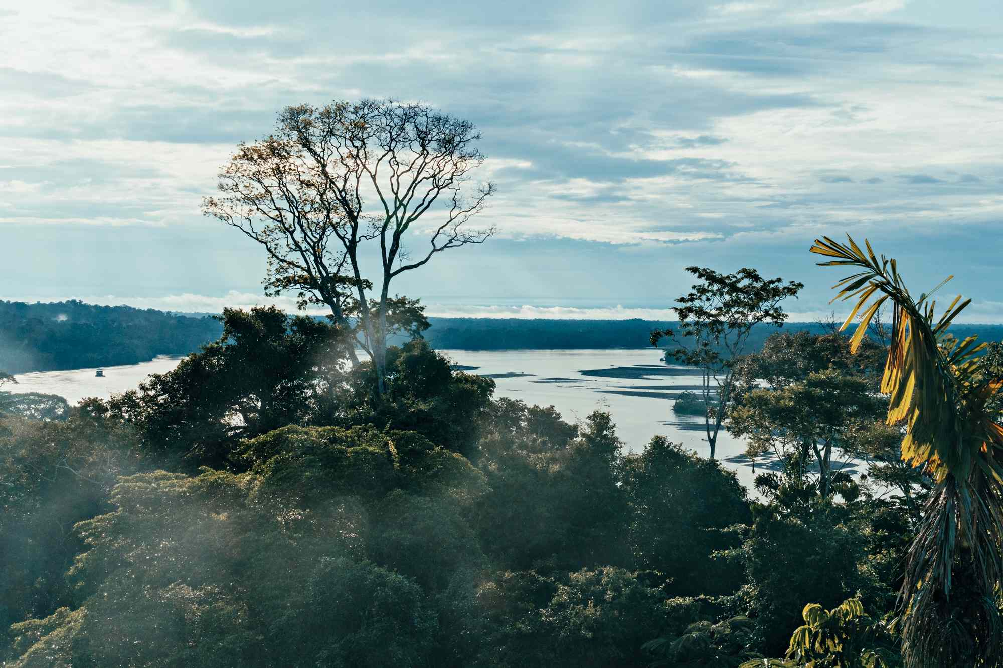This cruise visits the remotest corners of the Amazon rainforest—how to ...