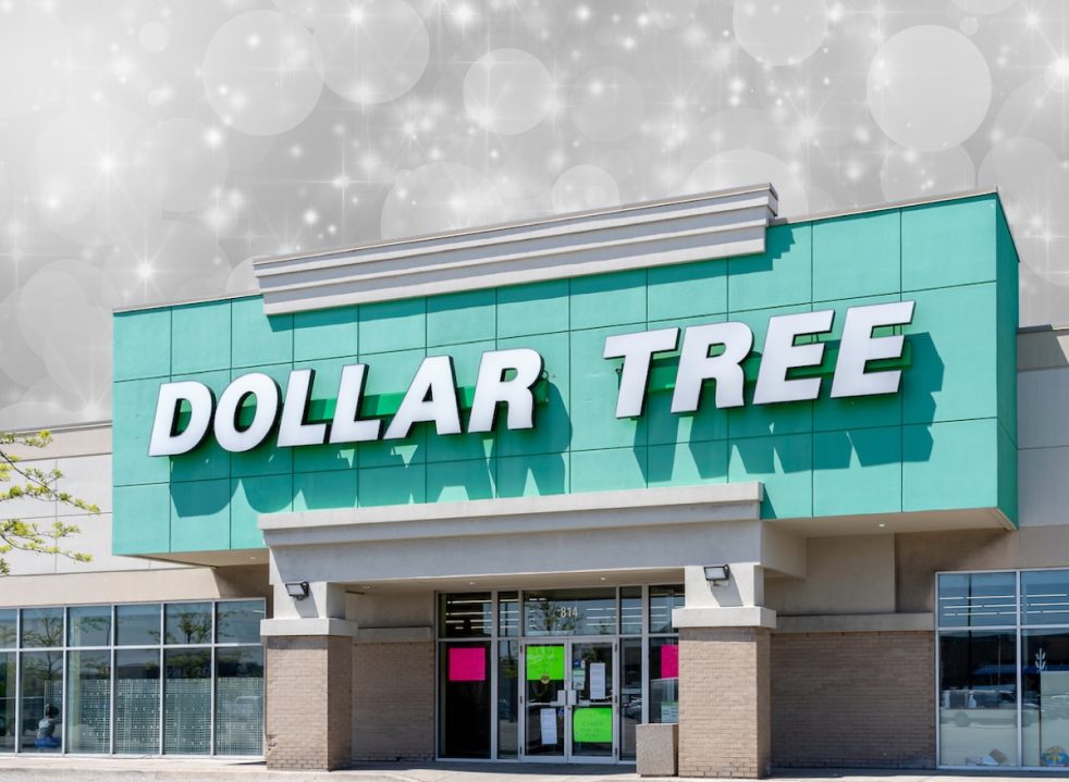 7 best Dollar Tree new arrivals landing in stores this January