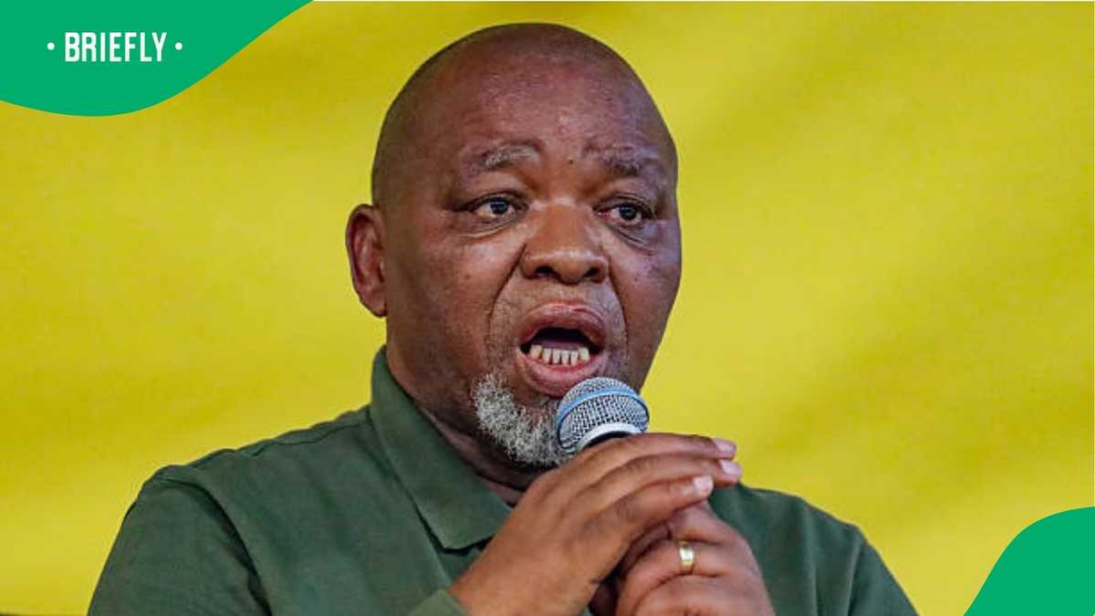 Gwede Mantashe's 'lazy' remarks spark outrage: ANC moves to clarify ...