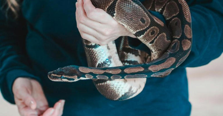 9 things that seem normal in the US — but are illegal in Canada