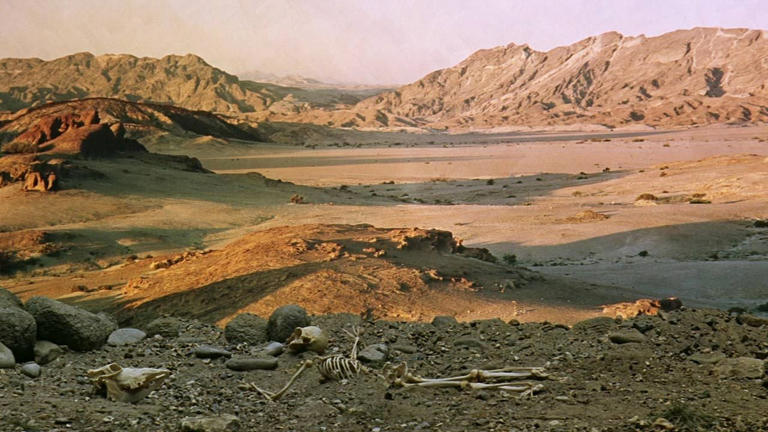 "Je l'ai vu 18 fois" : James Cameron adore ce chef-d'oeuvre de la ...