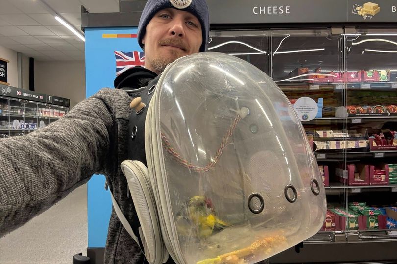 'I love seeing people double-take when I go out with my parrot - I even ...