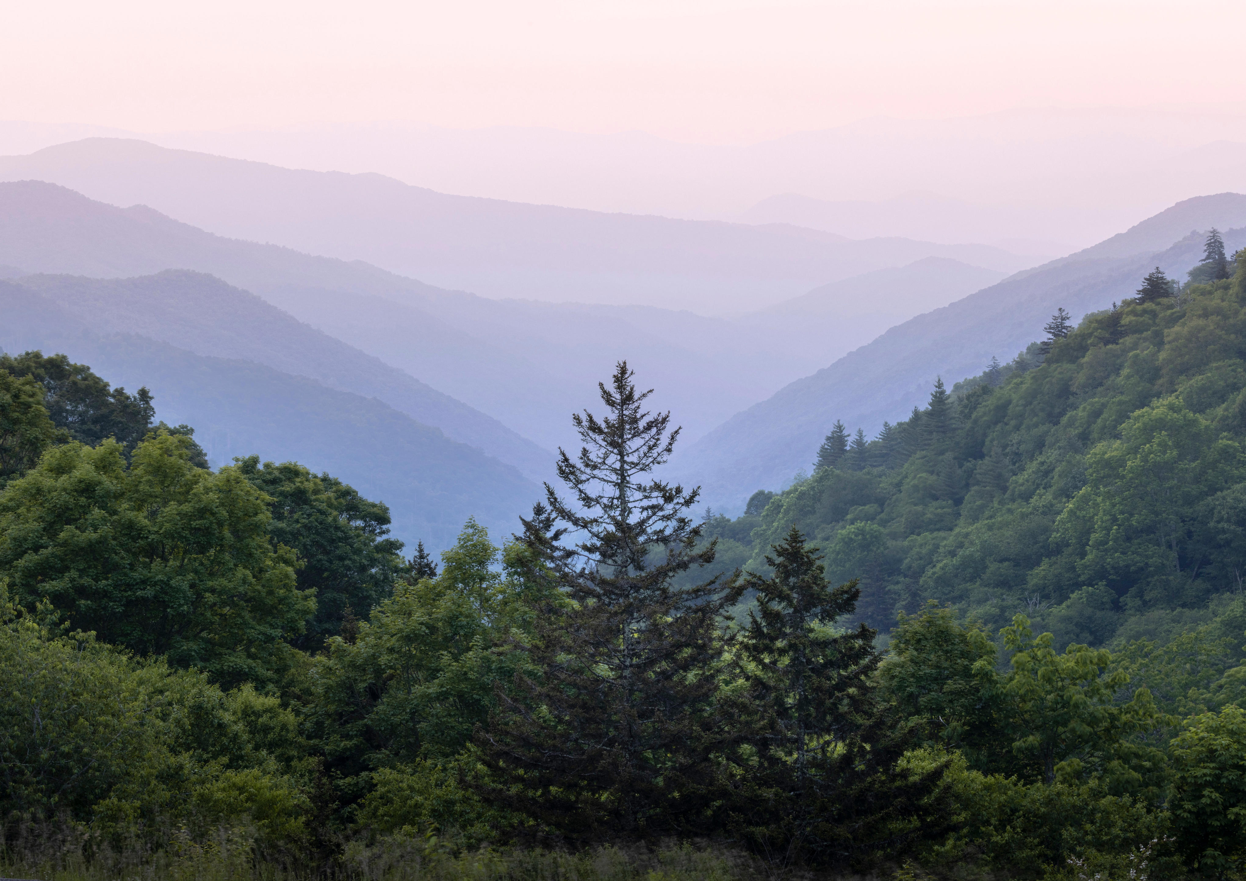 Curious kids keep the Smokies’ volunteer letter writers busy