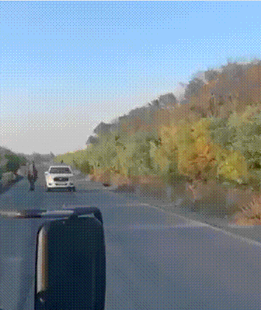 Russian forces deploy Starlink-equipped cavalry in Ukraine