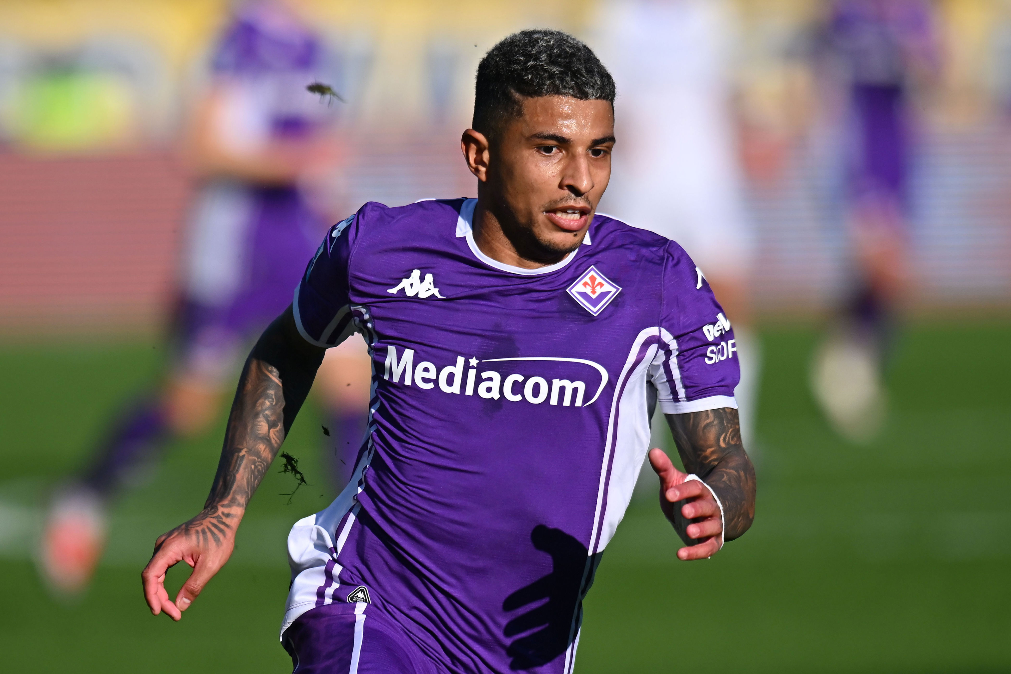 Fiorentina vs AC Milan: Preview