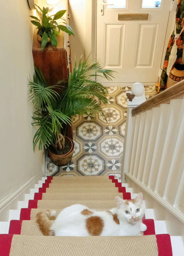 Vintage decor triumph: From corner shop to chic home
