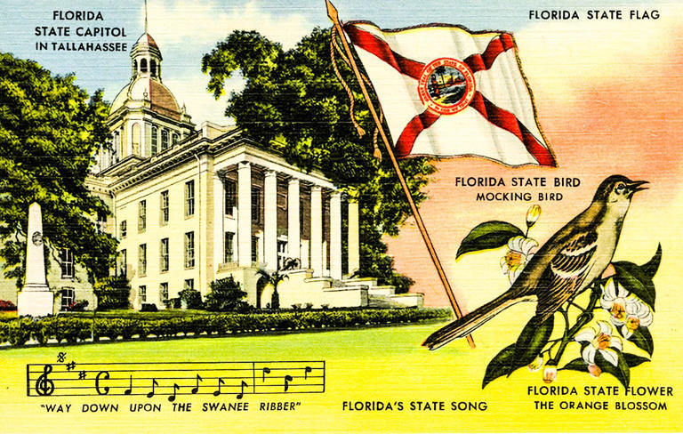 Mark Lane: Birds, plates and Confederates ... the Lege gets to work