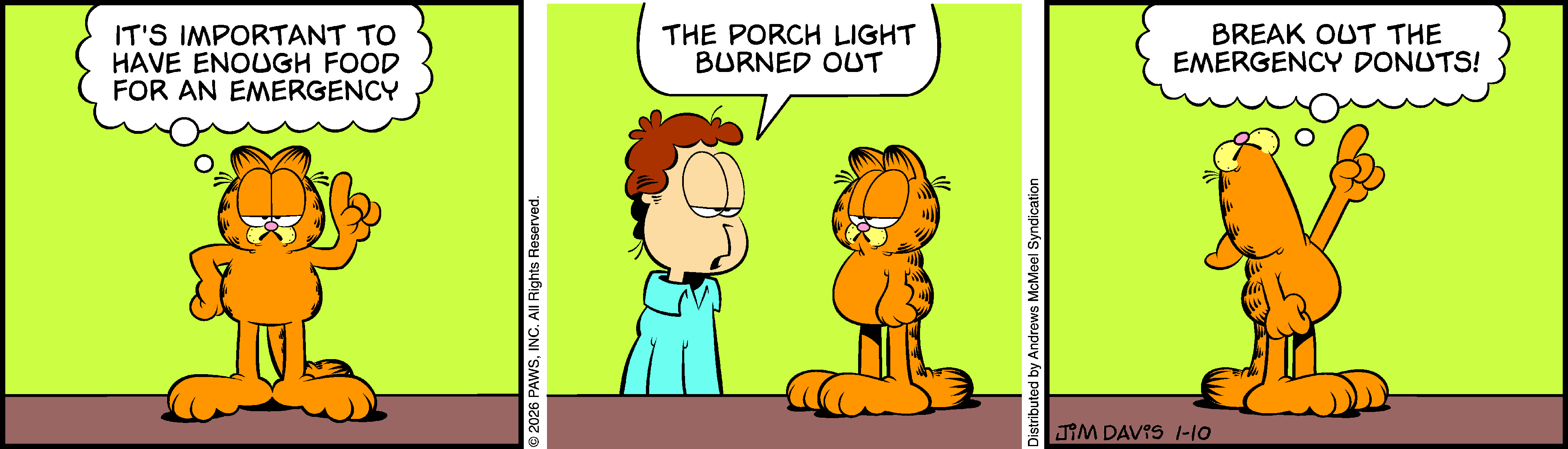 Garfield by Jim Davis