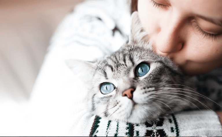 Is your cat actually a guardian spirit? Watch for these 3 mystical signs
