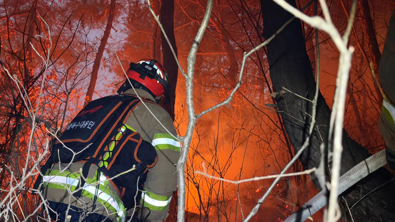 Snowstorm curbs Uiseong wildfire within three hours