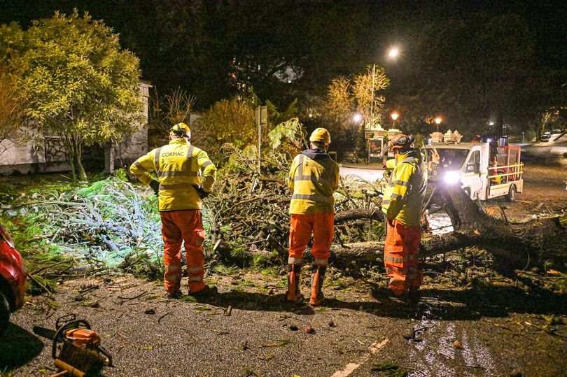 Man found dead in Storm Goretti after tree falls on caravan