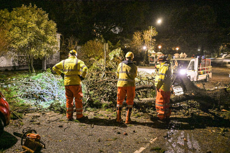 Family shocked after three massive trees smash their home during Storm ...