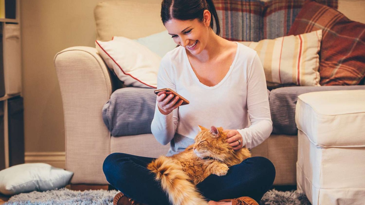 Is your cat actually a guardian spirit? Watch for these 3 mystical signs