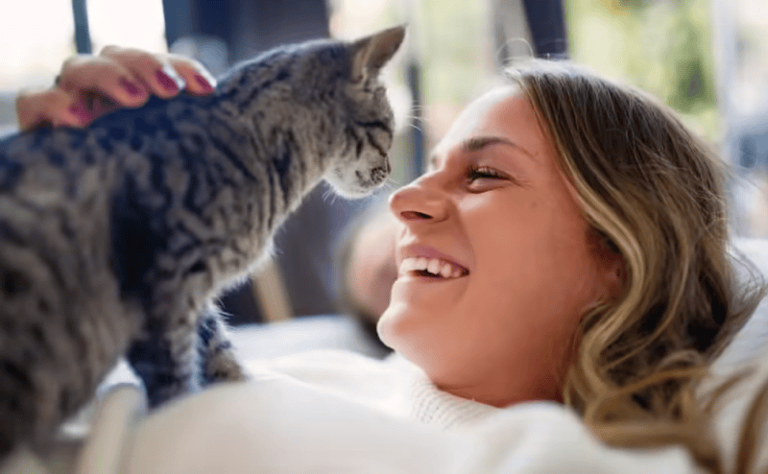 Is your cat actually a guardian spirit? Watch for these 3 mystical signs