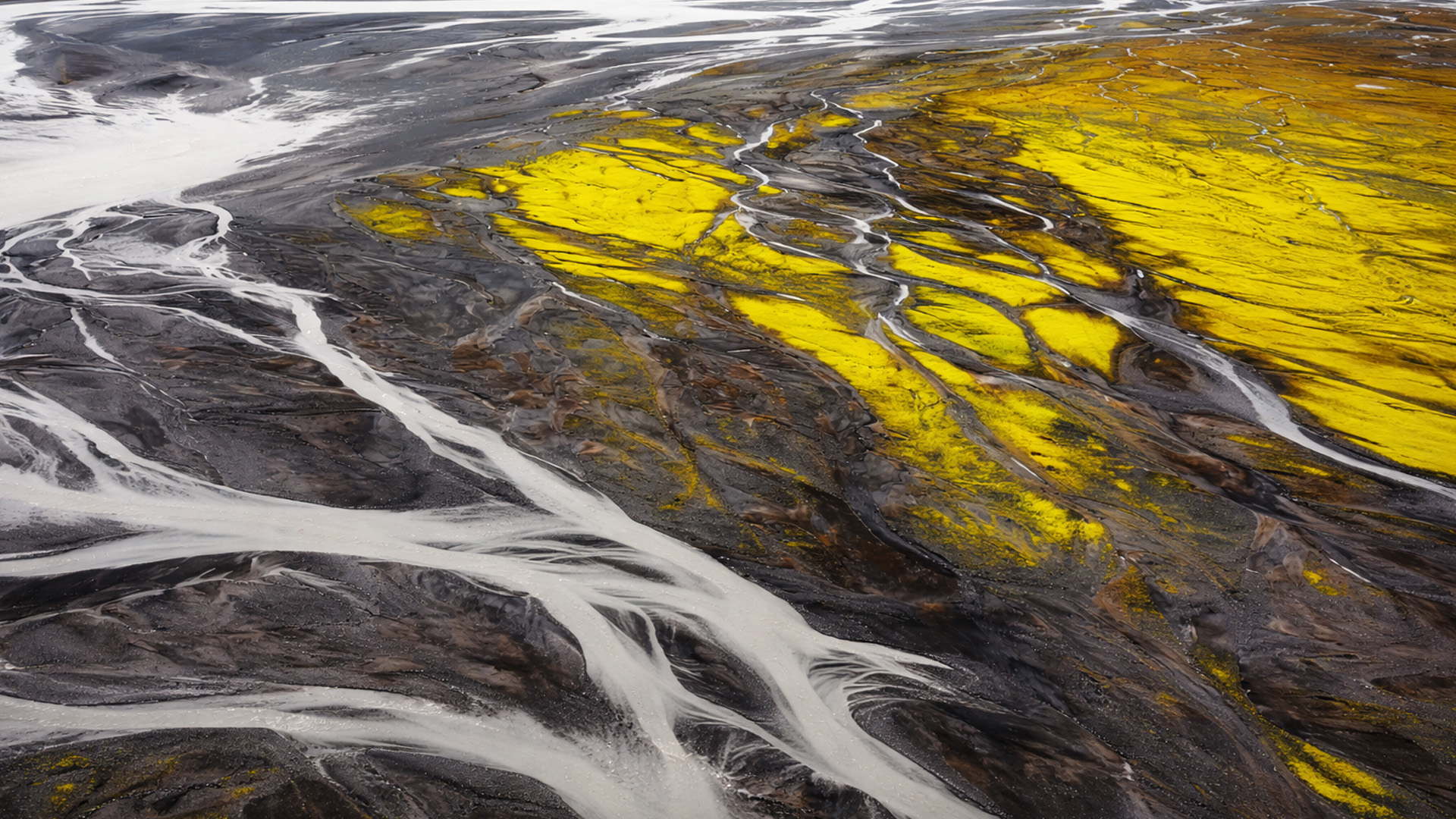 Tableau ou lieu réel : saurez-vous deviner?