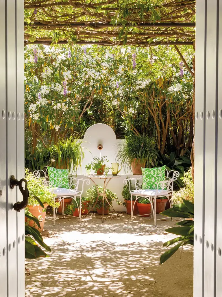 ¿Qué hacer si mi vecino tira colillas a mi patio?