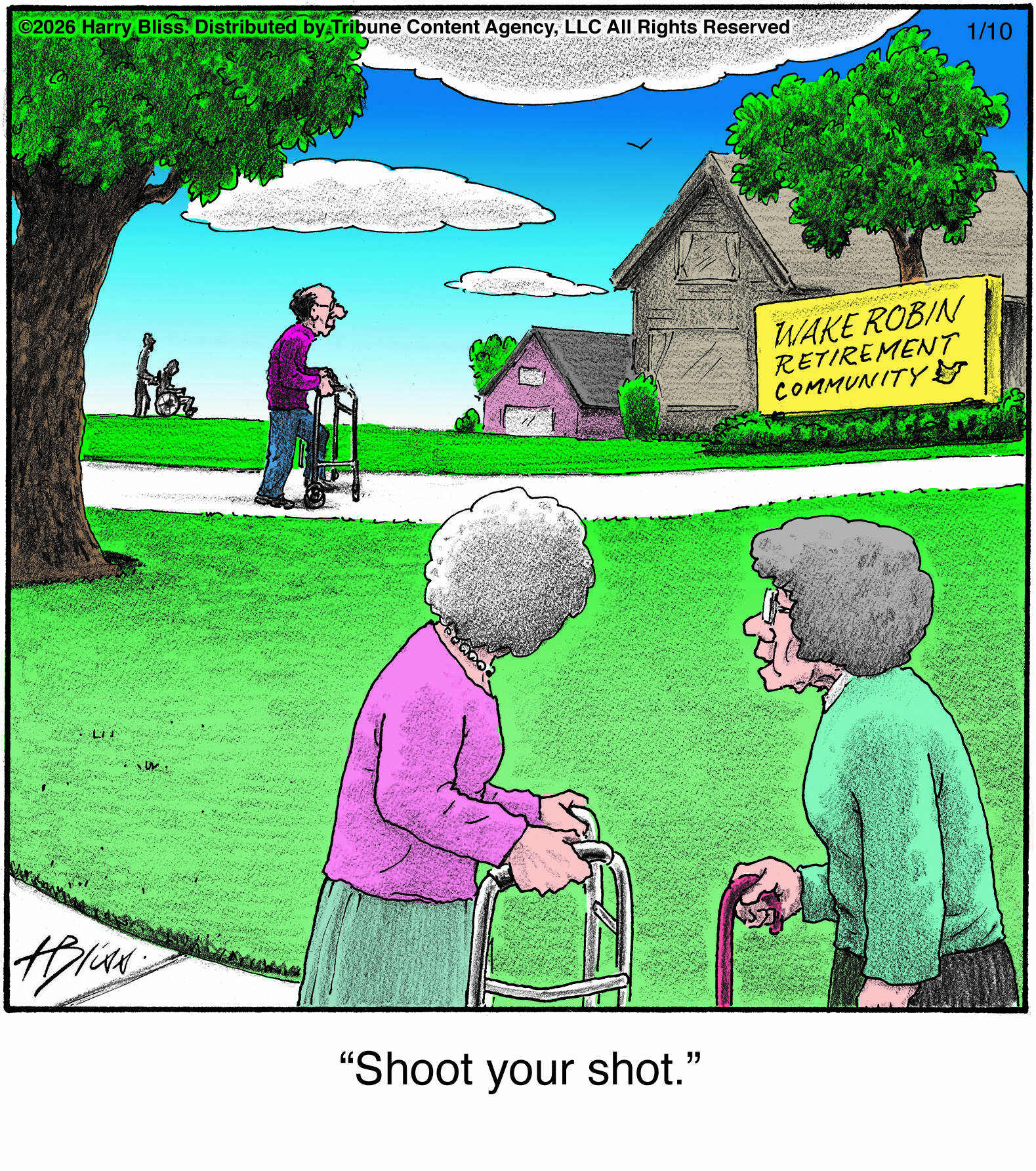 Bliss by Harry Bliss