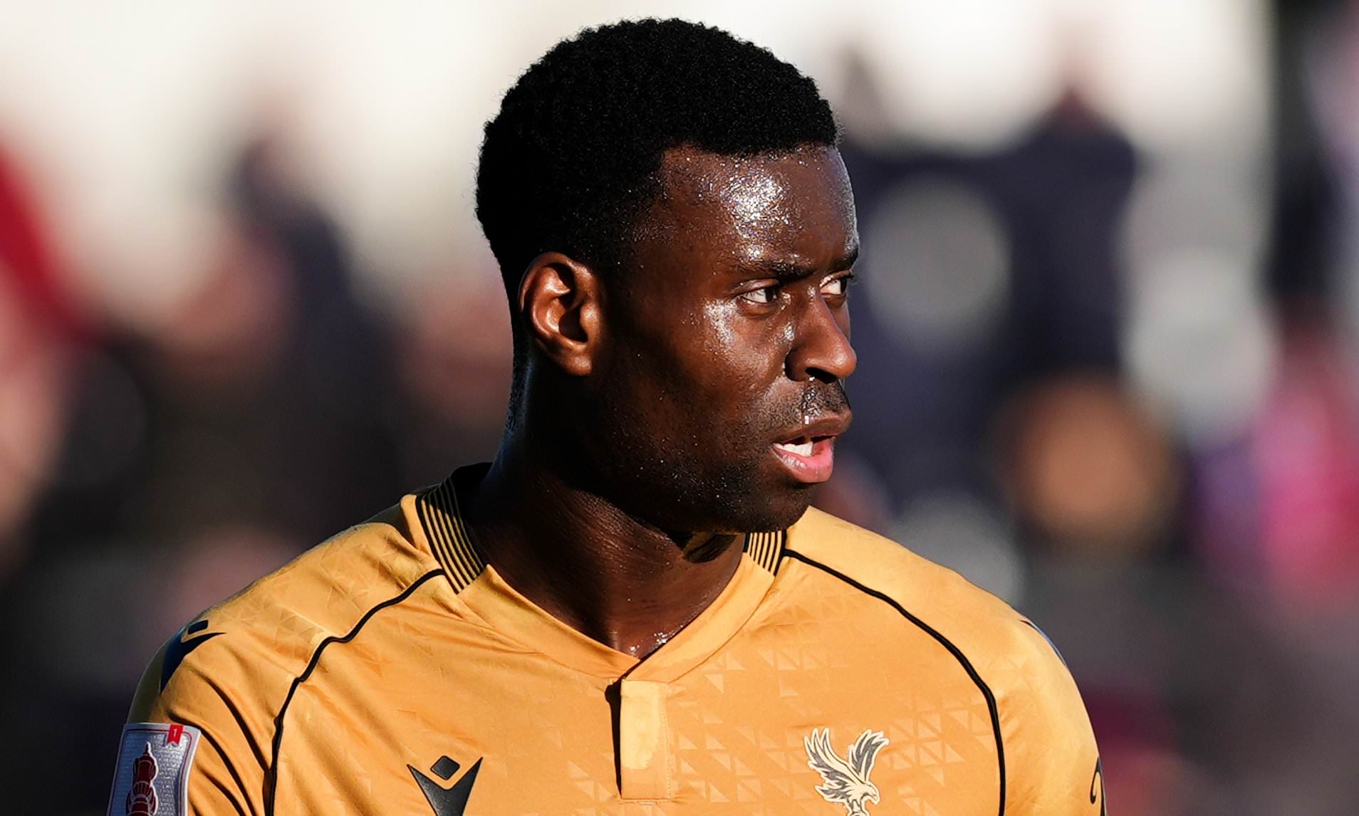 Why Marc Guehi's FA Cup hopes are still alive thanks to rule change ...