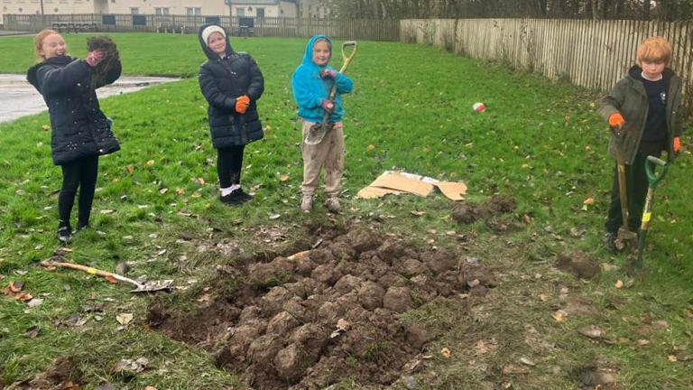 Schoolchildren grow habitats in wildlife project