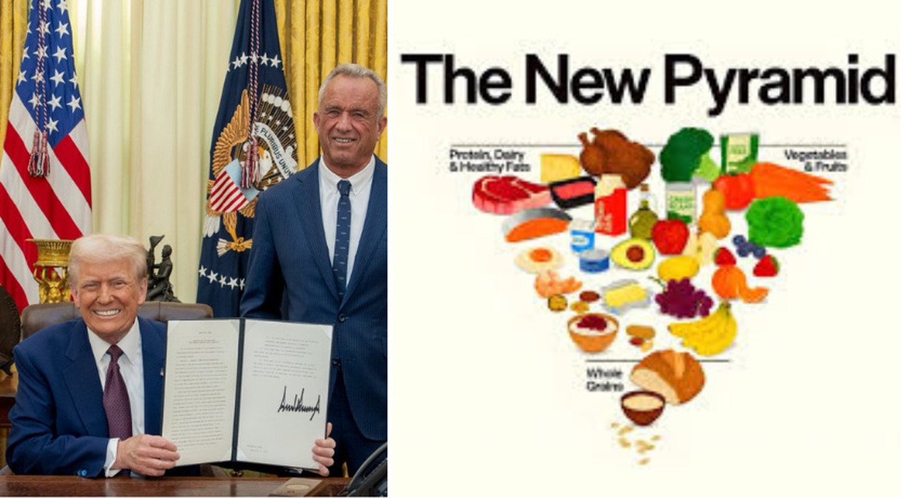 Trump, nuova piramide alimentare USA: più carne e meno cereali. Le ...