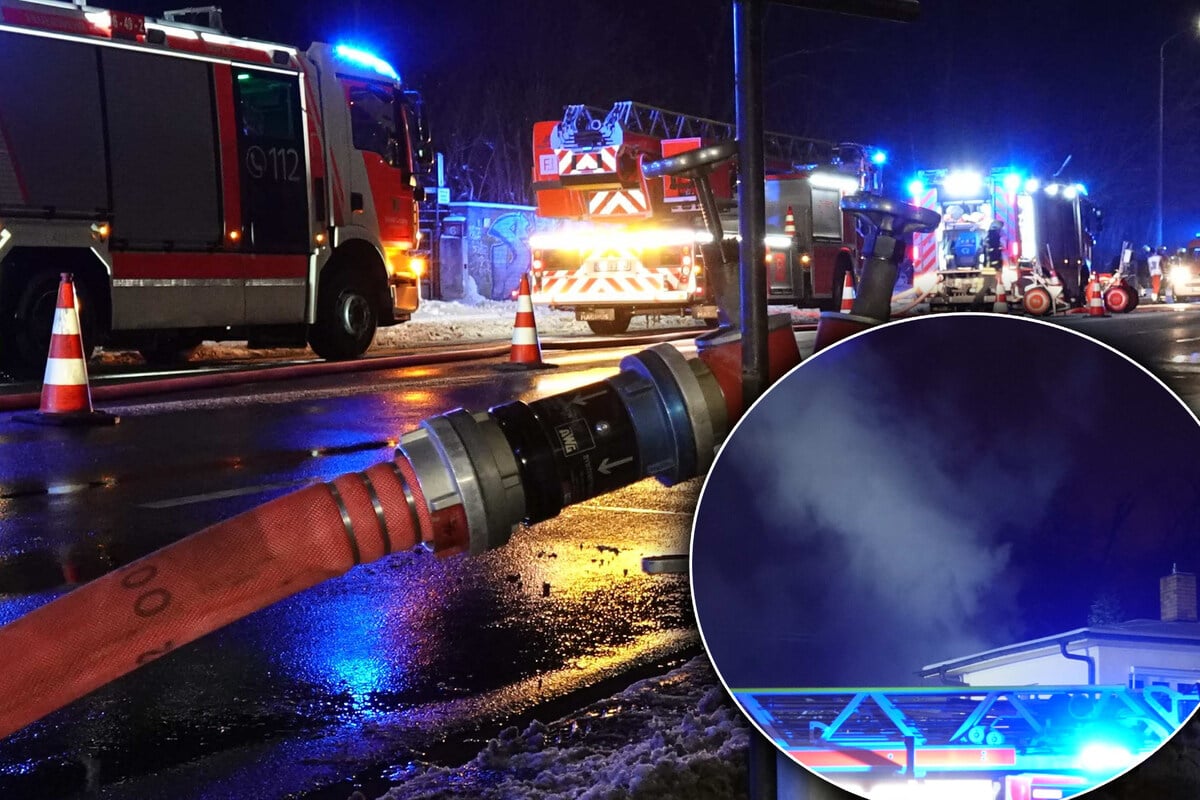 Kellerbrand am Schleußiger Weg: Vier Menschen verletzt, Tiere aus ...