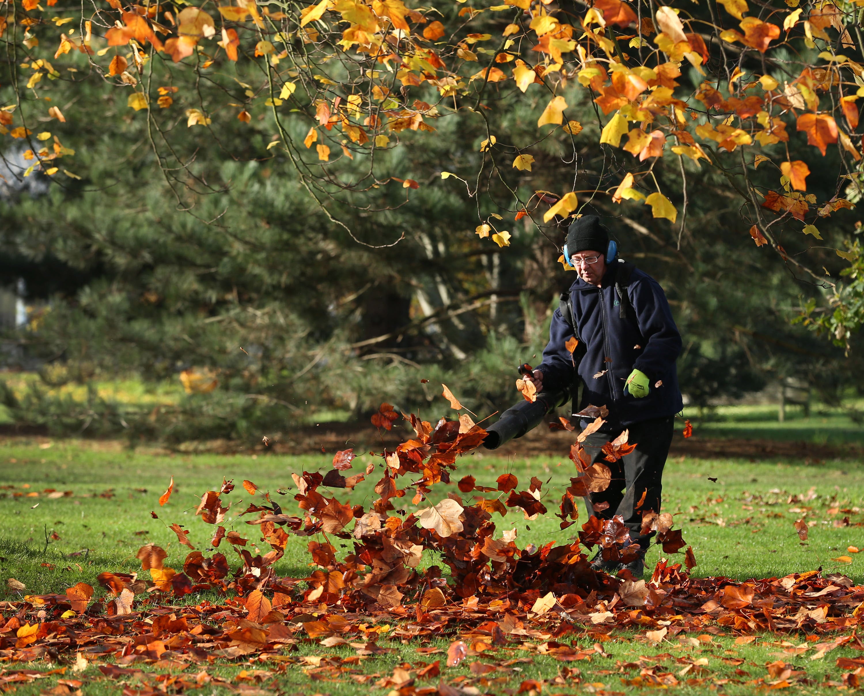 Seattle Parks on track to ditch gas leaf blowers