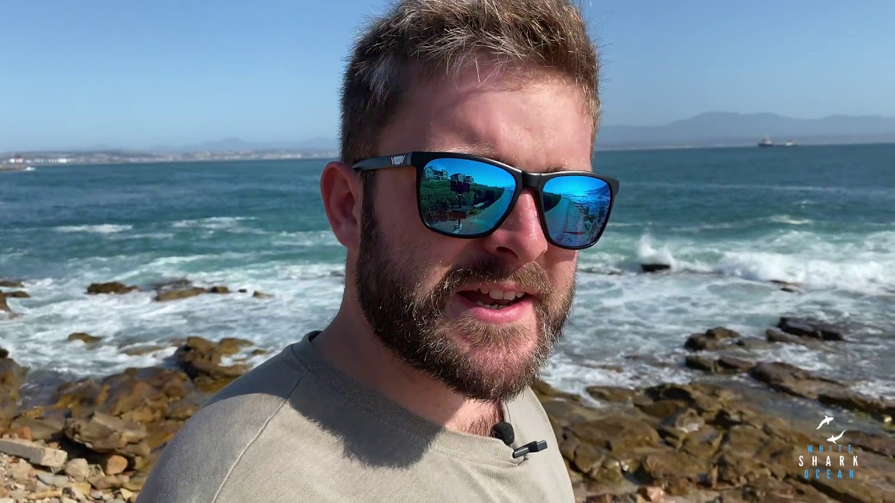 First white shark ocean vid