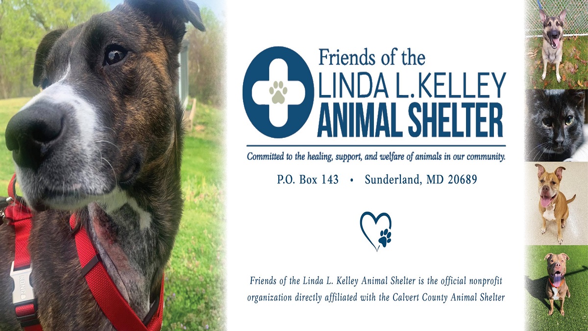 FOLLKAS Celebrates 7 Years Supporting Shelter