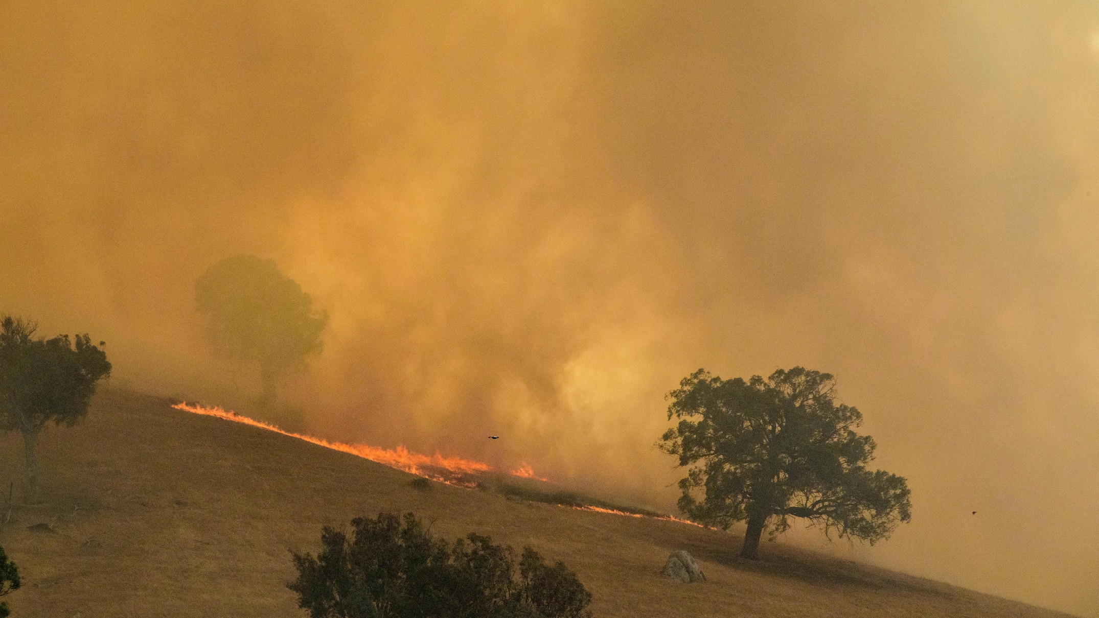 Firefighters continue to battle bushfires across Victoria as towns ...