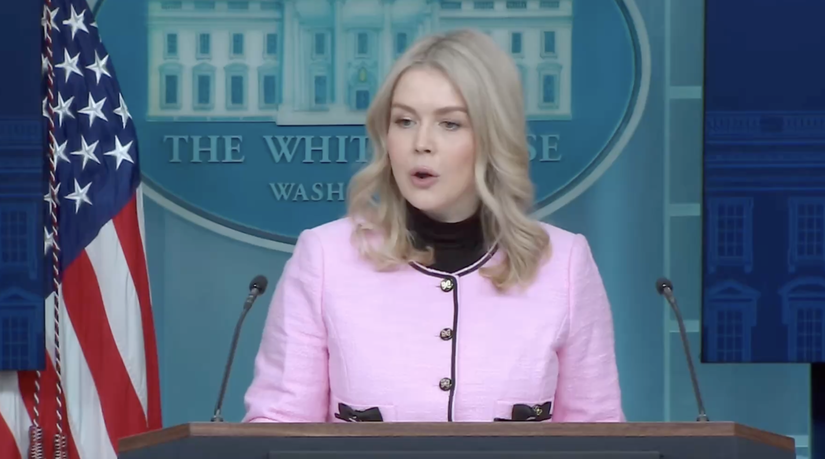 'That's not something this president does': Karoline Leavitt refuses to ...