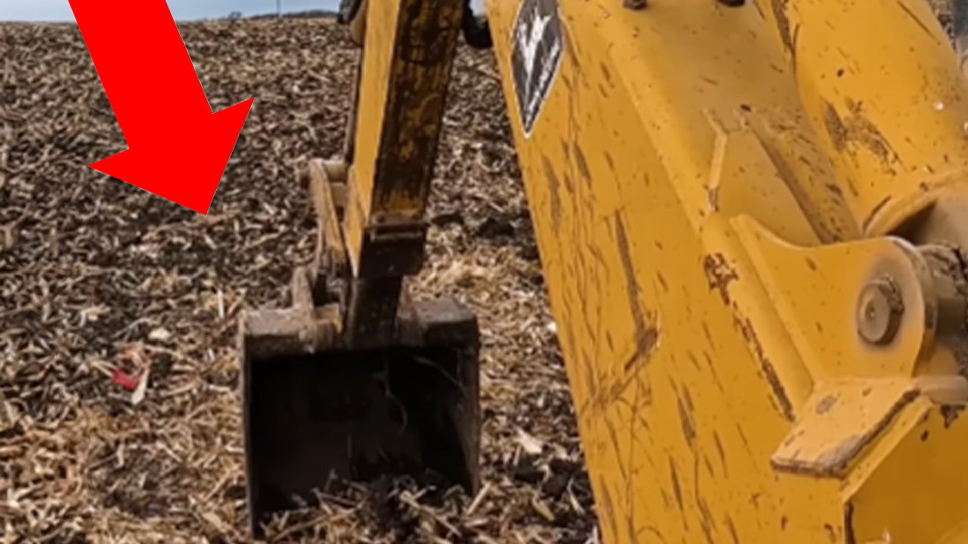 Caught red-handed with a disaster