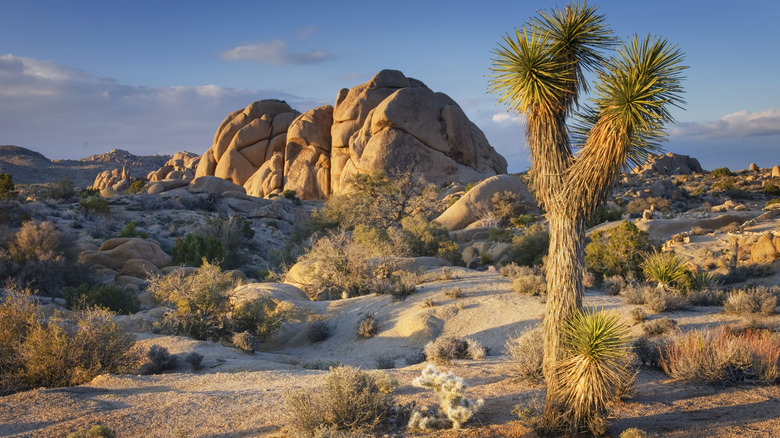 The 16 best things to do in all of Southern California, according to ...