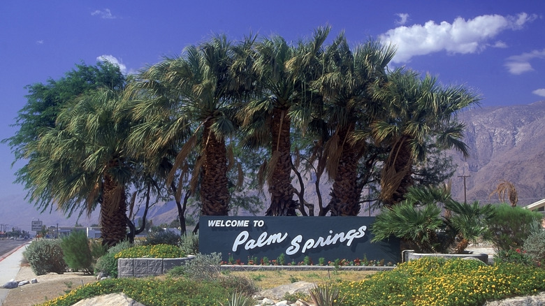 The 16 best things to do in all of Southern California, according to ...