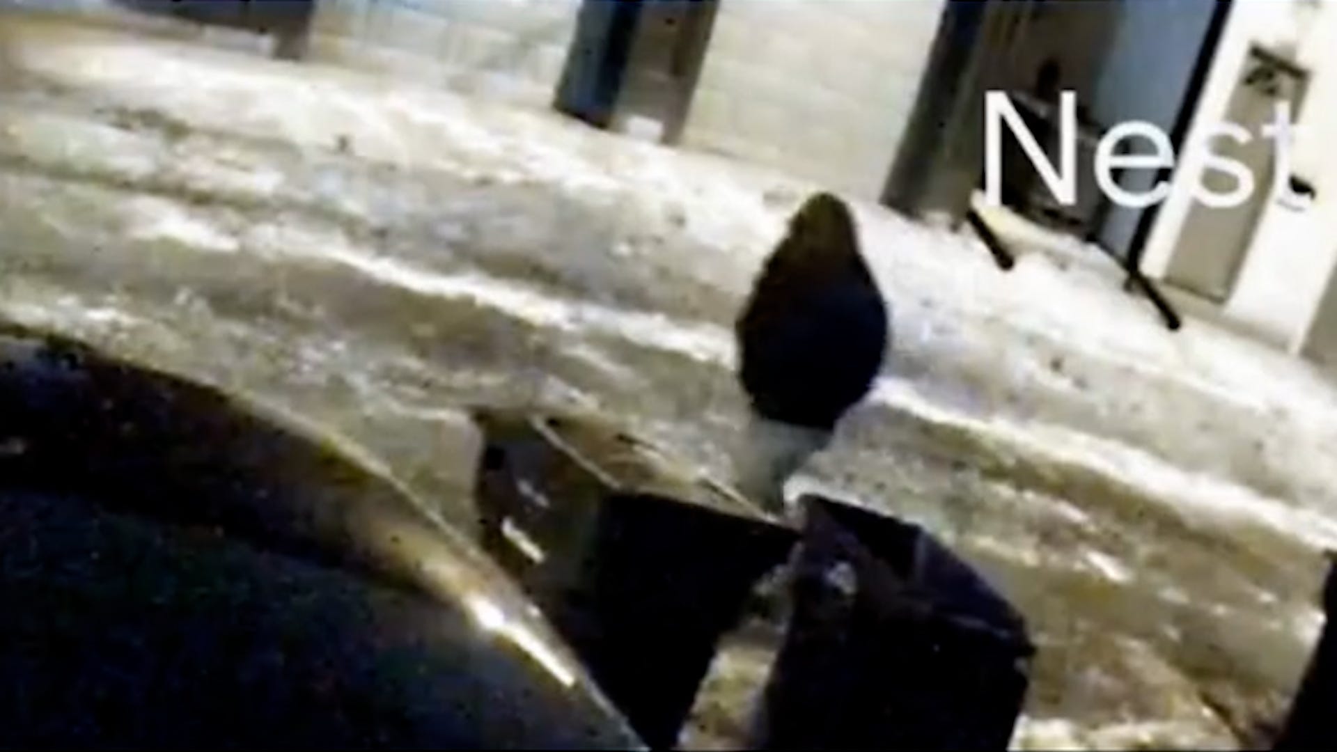 Who is Michael McKee, ex-husband of Monique Tepe charged in her death?