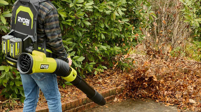These 5 Ryobi products will save your back