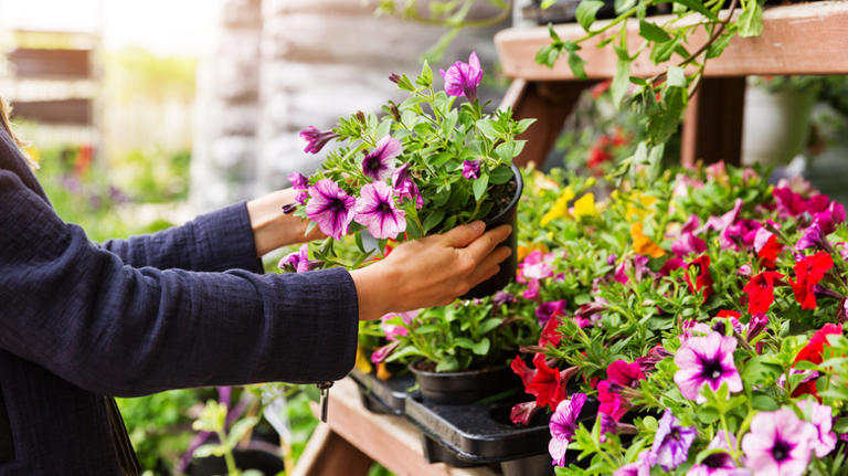 Enjoy beautiful blooms even in the city with a patio garden. Here's how ...
