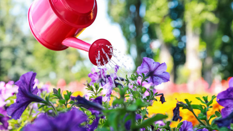 Enjoy beautiful blooms even in the city with a patio garden. Here's how ...