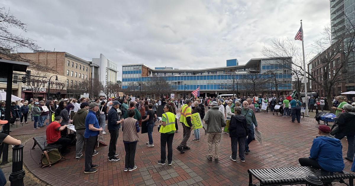 Anti-ICE protesters assemble across Triangle, US after shootings in ...