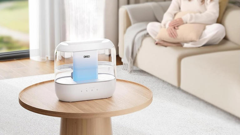10 affordable humidifiers to help with dry winter air in your home