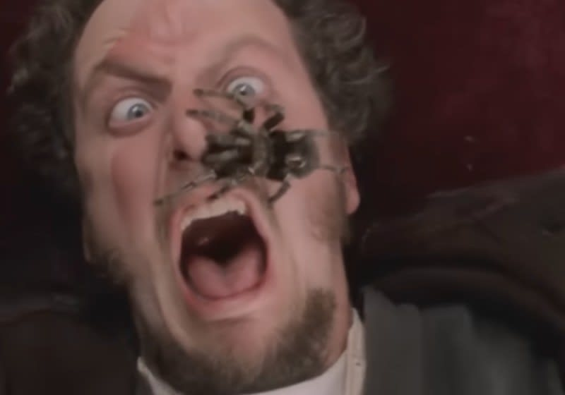 Home Alone actor Daniel Stern cited in prostitution raid