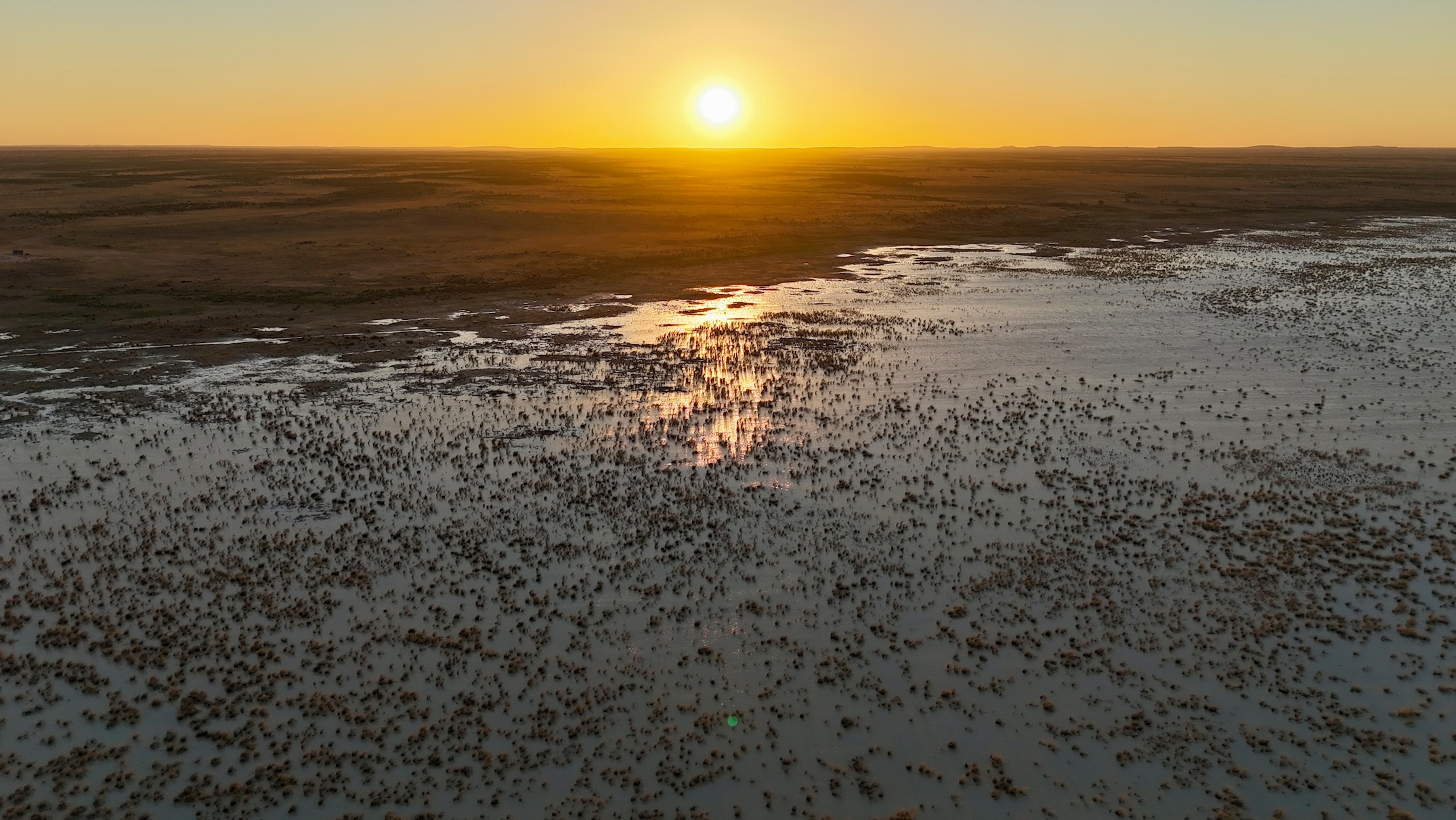 Floodwaters from Queensland bring life to remote NSW wetland