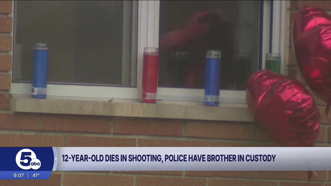 Teen who allegedly shot, killed sibling turns himself in, Canton police ...