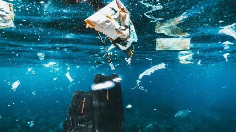 Oceans are losing their ability to absorb carbon as microplastics surge