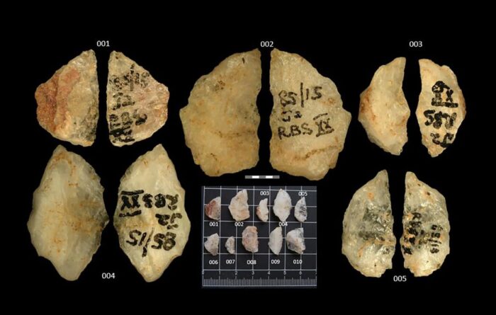 Found: The world's oldest poisoned arrows