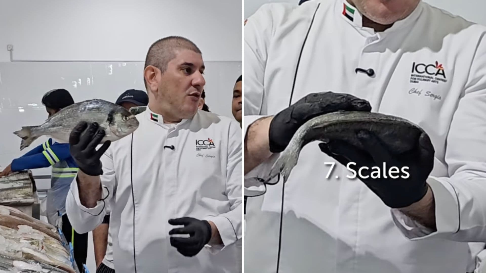 Buying fresh fish? Here is what to look for, according to professional ...