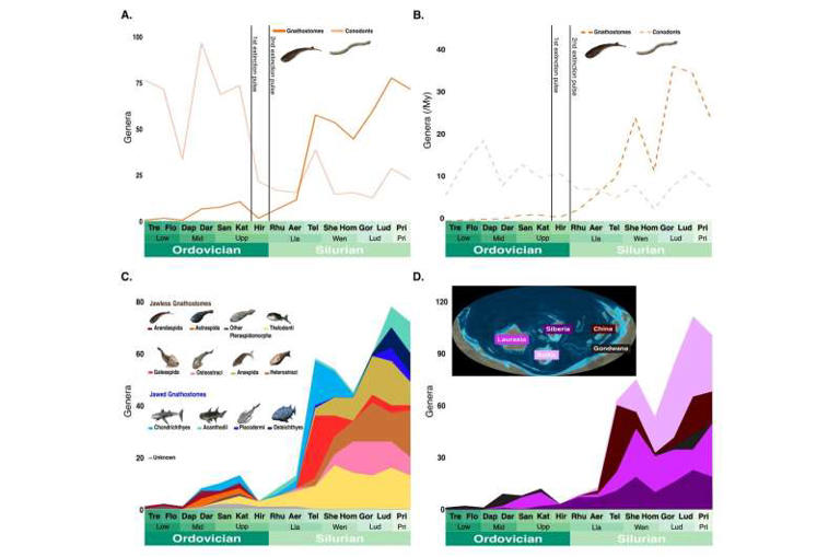 This forgotten mass extinction event rewrote the future of marine life ...